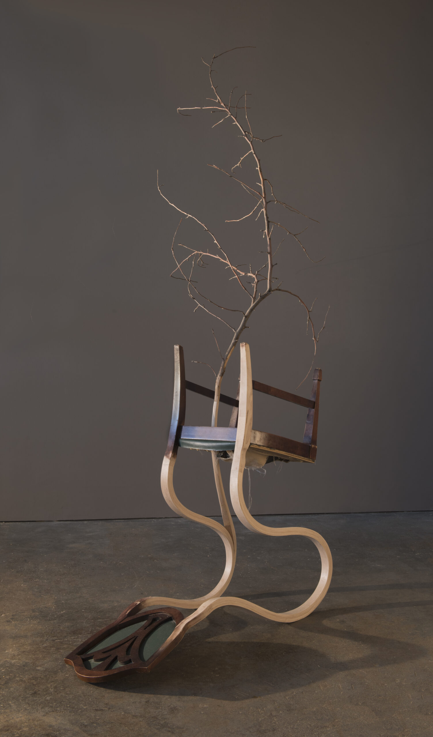 Jim Jacobs: The Imperfections That Render Us Visible - Kimball Art Center