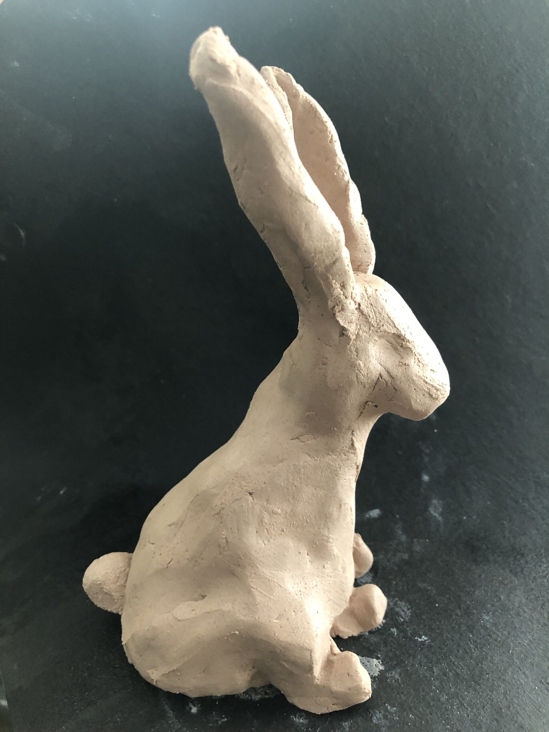 One Day Pinch Rabbits - Kimball Art Center