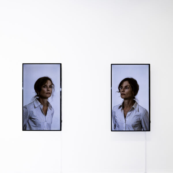 Moving Pictures - Kimball Art Center